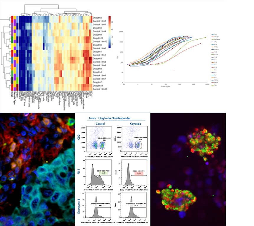 Technology for Oncology Drug Development | Nilogen Oncosystems
