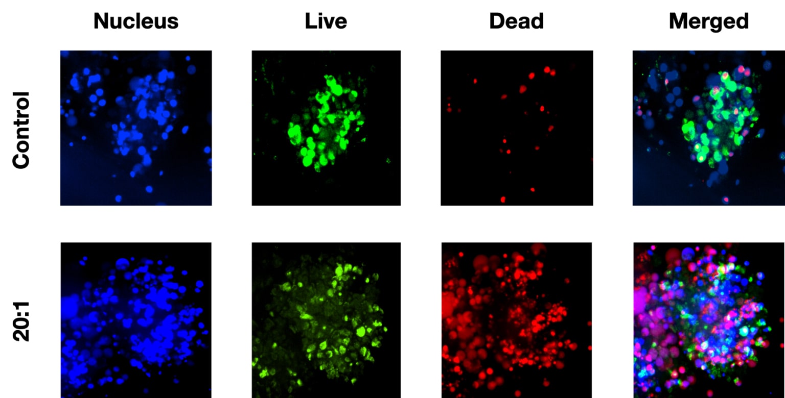Cell-based Immunotherapies | Nilogen Oncosystems