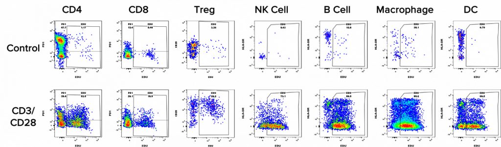 Flow Cytometry Services | Nilogen Oncosystems