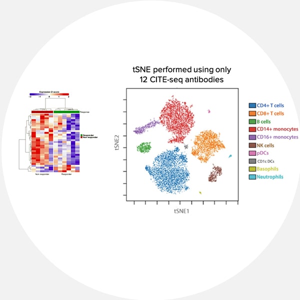 Gene Expression Services | Nilogen Oncosystems
