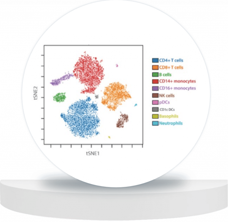 Gene Expression Services | Nilogen Oncosystems Gene Expression Services | Nilogen Oncosystems
