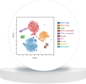 3D Cancer Models | Nilogen Oncosystems
